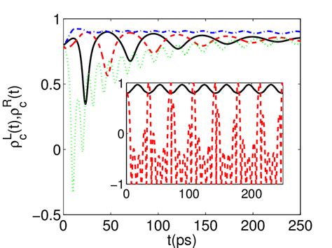 Temporal Dependence Of Circular Polarization Degree In Both Traps We