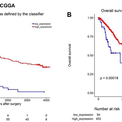 Mir 1298 3p Downregulation Correlates With Poor Survival In Glioma