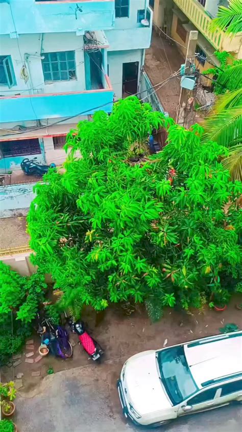 Ritik Raj Gupta Ritik Raj Gupta 9525 • Instagram Photos And Videos