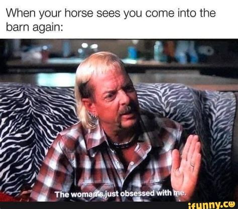 Horse Memes Best Collection Of Funny Horse Pictures On Ifunny