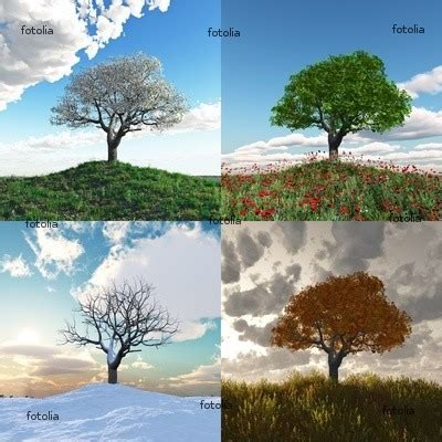 Weather And Climate Unit Flashcards Quizlet