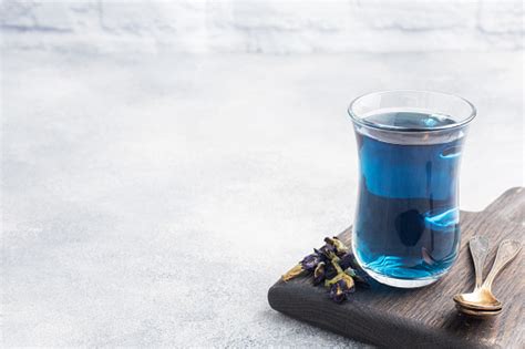 유리 컵 회색 콘크리트 배경에 싹 클리토리아 Ternate의 태국 블루 티 안찬 공간을 복사합니다 0명에 대한 스톡 사진 및 기타 이미지 Istock