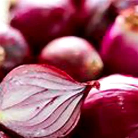 Cebolla Morada 10 Unid Agro Mercanet El Yerro Menú