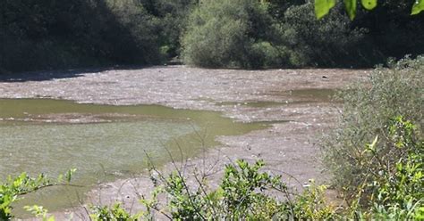 국보 옆에 떠다니는 쓰레기 더미