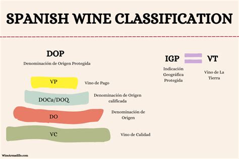 Comprehensive Guide To Spanish Wine Classification 2024