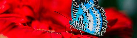 How To Use The Brightness Contrast Adjustment Topaz Labs