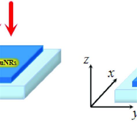 A Three Dimensional Model Of The Longitudinally Aligned Gold Nanorod