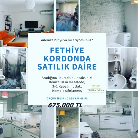 Dilora Group Posted On Linkedin