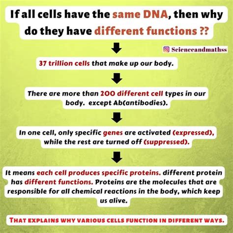 Protien And Dna R Apbio