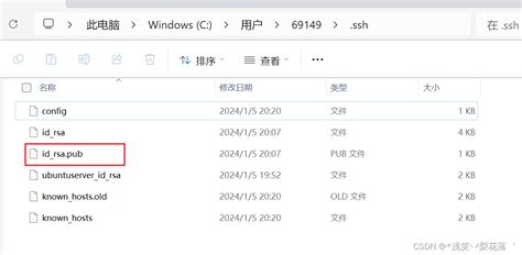 Vscode Ssh Remote 插件远程连接linux无需输入密码解决方案vscode 的 Ssh插件无需输入密码 Csdn博客