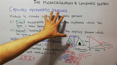 High Capillary Hydrostatic Pressure At Carl Atkins Blog