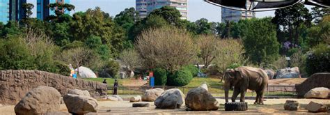 Visit Parque Zoológico De León Magical Towns