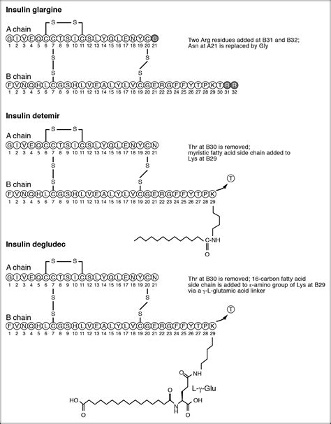 Evolution Of Insulin From Human To Analog The American Journal Of