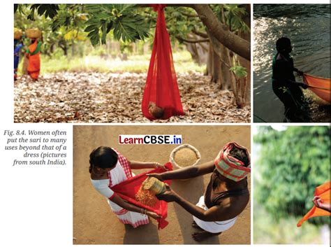 Unity In Diversity Or Many In The One Class 6 Notes Social Science Chapter 8 Learn Cbse