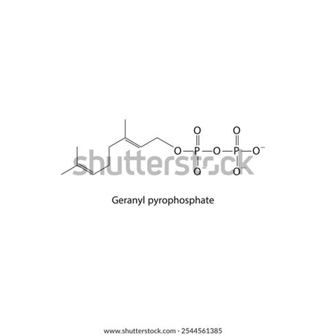 Geranyl Pyrophosphate Skeletal Structure Diagramorganic Molecule Stock Vector Royalty Free