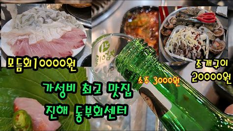 모듬회 한접시가 만원 최고 가성비 맛집 진해 동부회센터 Youtube