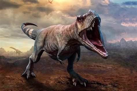Tyrannosaurus Rex Mystery Solved How Dinosaurs Delivered Bone Crushing Bites