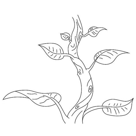 Beanstalk Illustrations Royalty Free Vector Graphics And Clip Art Istock