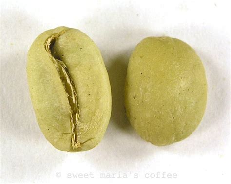Using Sight To Determine Degree Of Roast Sweet Maria S Coffee Library