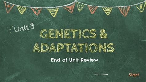 Unit 3 Genetics Lab Practical Review Choice Board Genially