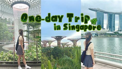 버스타고 국경 넘는 싱가포르 당일치기 여행 🚌 센토사 섬 머라이언 파크 마리나 베이 가든스 슈퍼 트리쇼 Youtube