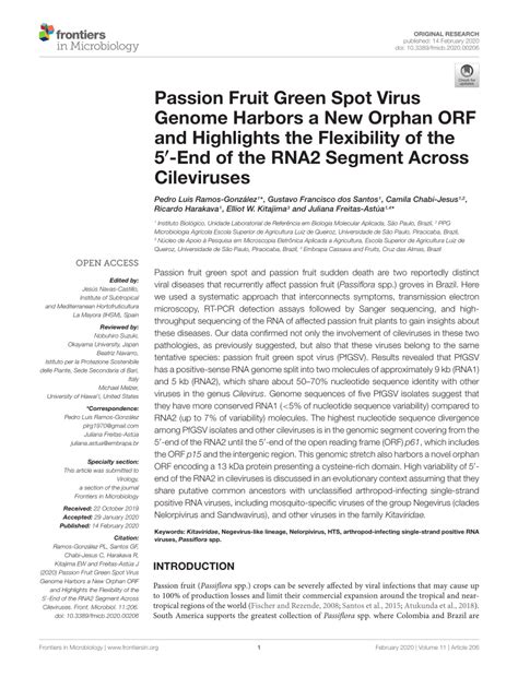 Pdf Passion Fruit Green Spot Virus Genome Harbors A New Orphan Orf And Highlights The