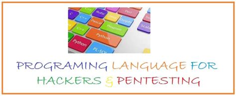 5 Best Programming Languages For Cyber Security Pentesting In 2023
