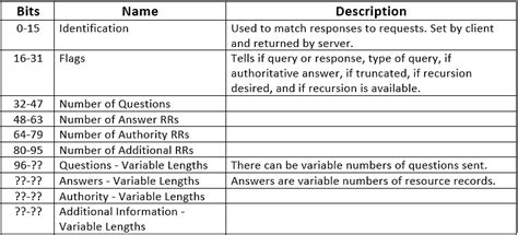 Dns Domain Name System Computer Science Engineering Cse Pdf Download