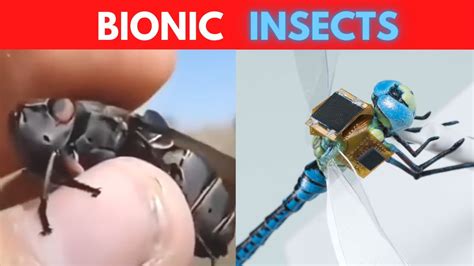Insect Surveillance Drones Remote Control