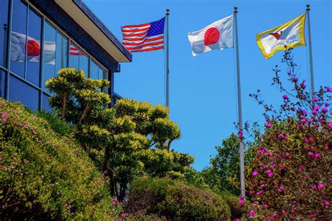 Flags In Unity Photograph By Aaron H Fine Art America