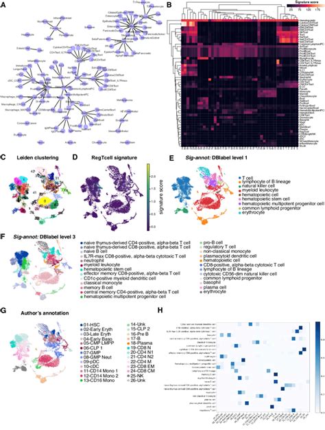 Bescas Sig Annot Module Applied A Overview Of The Cell Type Download Scientific Diagram