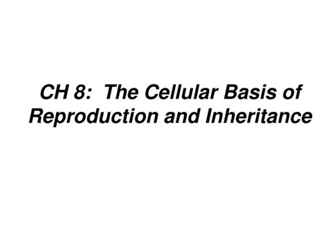 PPT CH The Cellular Basis Of Reproduction And Inheritance PowerPoint Presentation ID
