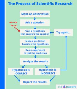 How To Write A Hypothesis The Ultimate Guide With Examples