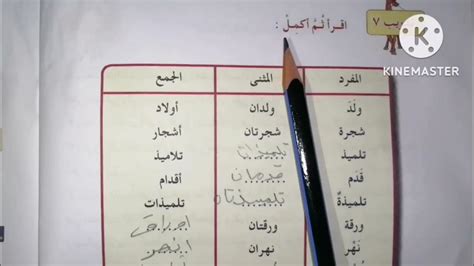 قواعد الصف الرابع ابتدائي، تكملت حل تدريبات المفرد والمثنى والجمع