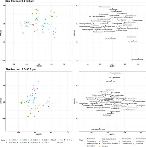 Spatiotemporal Dynamics In Beta Diversity Of Abundant Bacterioplankton