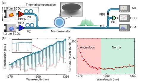 Experimental Demonstration Of Soliton Dynamics Crossing Different Download Scientific Diagram