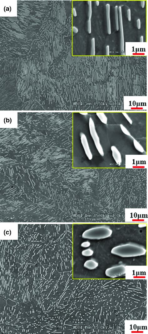 Sem Microstructures Of The 0 8c Steel After Cementite Spheroidization Download Scientific