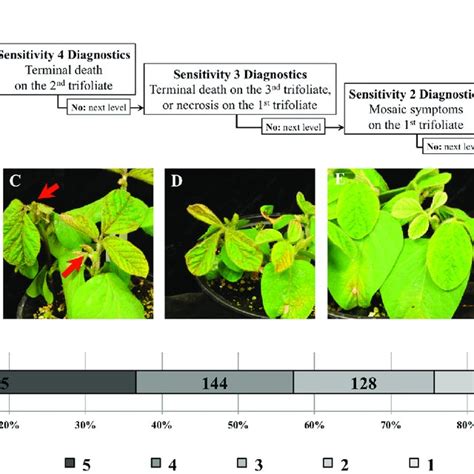 Bayesian Information Criterion Bic Based Model Selection The Model