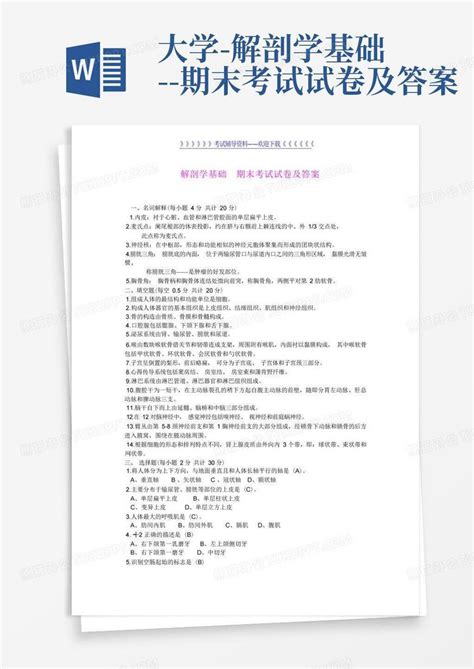 大学 解剖学基础 期末考试试卷及答案word模板下载编号lkpmmnkd熊猫办公