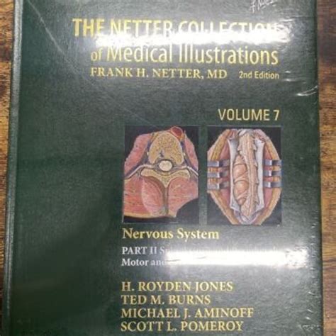 The Netter Collection Of Medical Illustrations Nervous System Volume 7 Part Ii Spinal Cord
