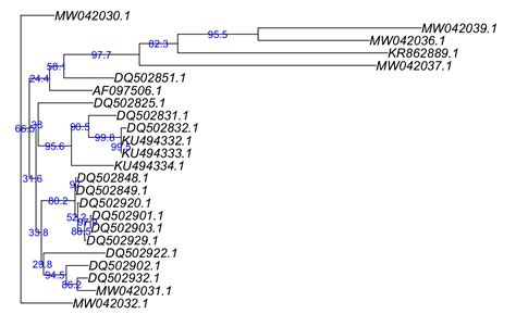 Session 12 Estimating Phylogenetic Trees Bioinformatics Workshop Gitbook