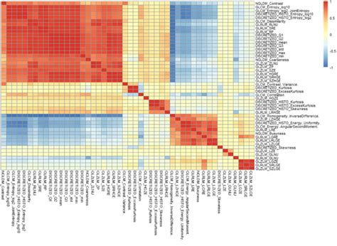 Heatmap Of Pairwise Pearsons Correlation Between Radiomic Features