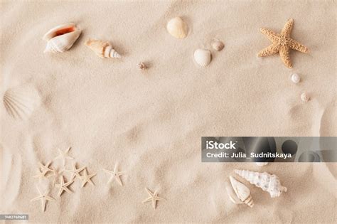 조개껍데기와 불가사리가 있는 모래 해변은 여름 휴가와 휴가 컨셉을 위한 자연스러운 질감의 배경이다 해변에 대한 스톡 사진 및 기타 이미지 Istock