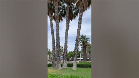 لو اقلك Elissa Youtube