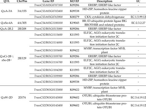 List Of Candidate Genes From Qtls Associated With Seed Size Shape Download Scientific Diagram