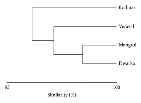 dendrogram showing similarity in the macrofaunal diversity of all