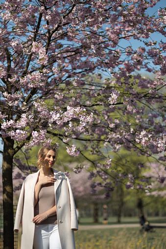 아름 다운 금발 젊은 여 자가 봄 벚꽃 공원에서 자연과 자유 시간을 즐기는 그녀의 여행 관광 자유 시간을 입고 흰색 바지와 T 셔츠 베이 지 색 재킷 건강한 생활방식에 대한