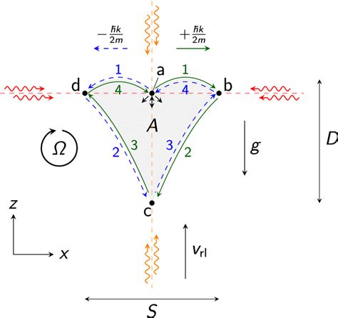 Trajectories Of The Free Falling Atoms In The Interferometer Red Download Scientific Diagram