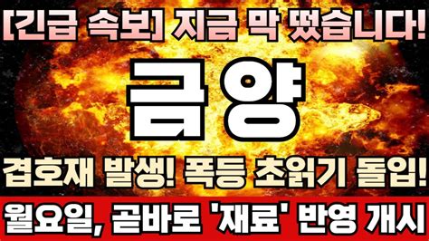 금양 주가전망 ‘유상증자 풀악셀 밟았다 류회장 1천만주 무상증여 결정 4100억원 사재 출연 회사 명운걸고 3천억 규모 유증 또 한번 단행 총력대응 금양