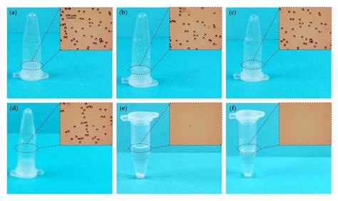 Solid Liquid Separation Experiment The Inset Images Show Observations Download Scientific